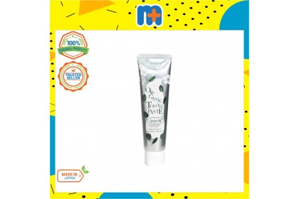 [MPLUS] BLACKPAINT Toothpaste 100g